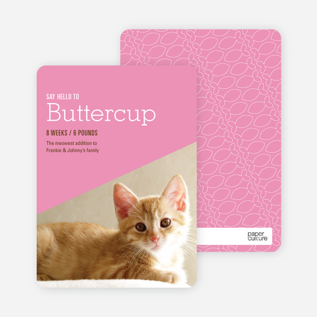 Pet Cards | Paper Culture