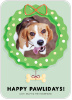 Happy Pawlidays Holiday Cards | Paper Culture