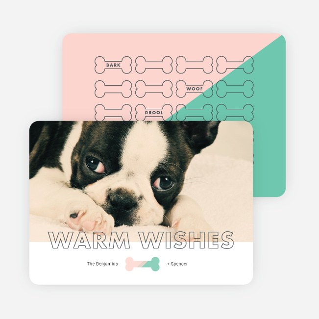 Give the Dog-a-bone Holiday Cards | Paper Culture