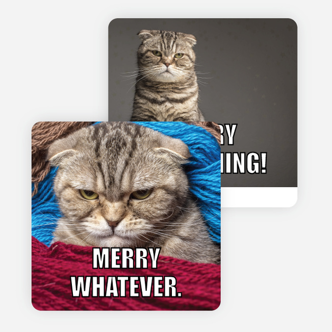 Merry Whatever Photo Holiday Cards | Paper Culture