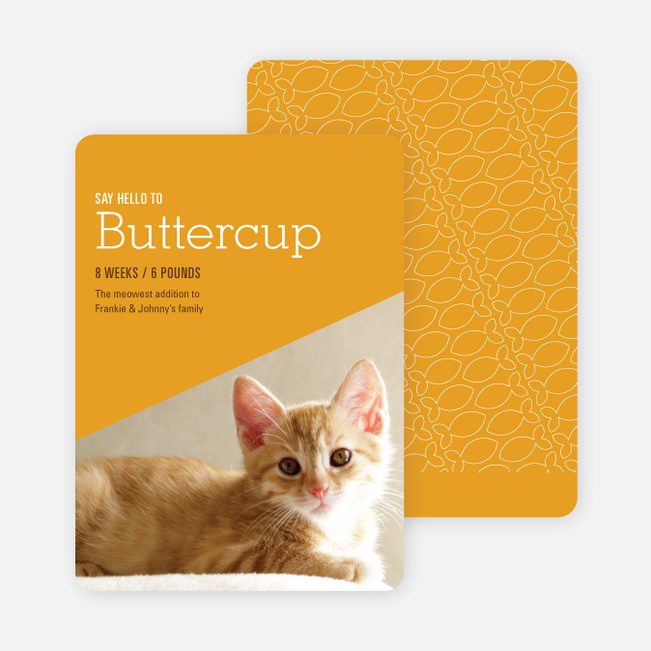 Kitty Cat Cards | Paper Culture