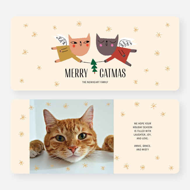 Merry Catmas Christmas Cards | Paper Culture