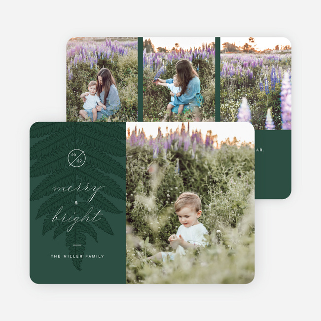 Botanical Watermark Holiday Cards | Paper Culture