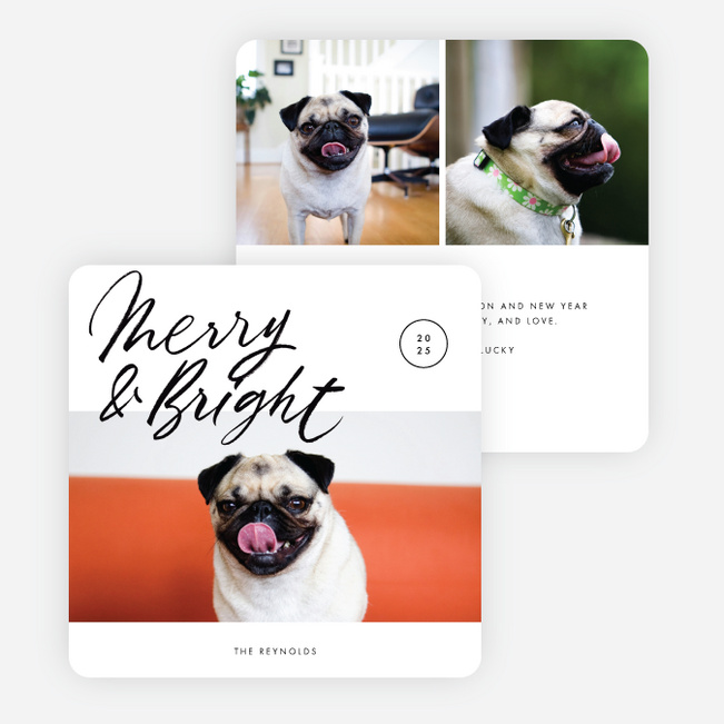 Merry Times Holiday Cards | Paper Culture